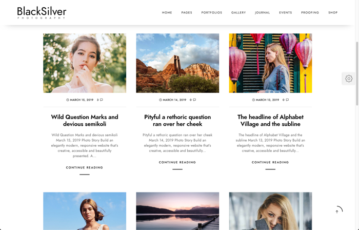 写真家のポートフォリオサイト構築の為のWordPressテーマ【Blacksilver】 | studioDoghands